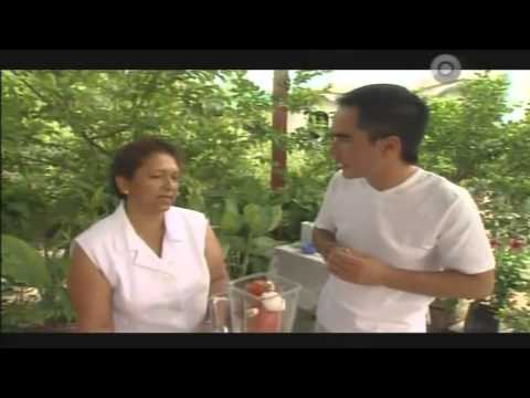 Chile Huacho, La Ruta del Sabor, Zumpango Guerrero - YouTube