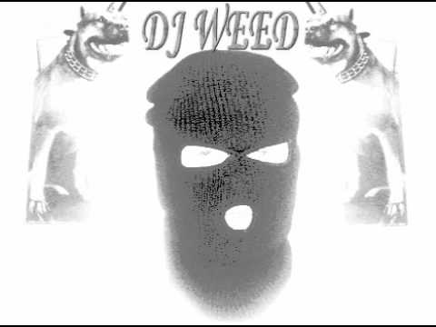 DJ WEED Sasha Belij Mega Partybreak - YouTube