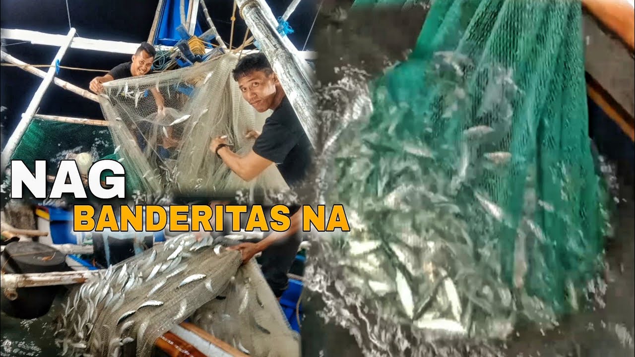 Jackpot sa mga isda turay o toloy! sa presyo lang hindi. - YouTube