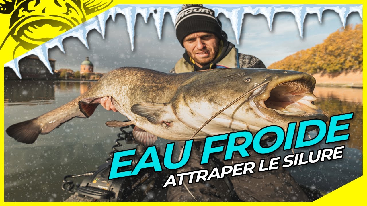 Pêche au silure en Toulouse sur la Garonne !! | Silure en hiver ...