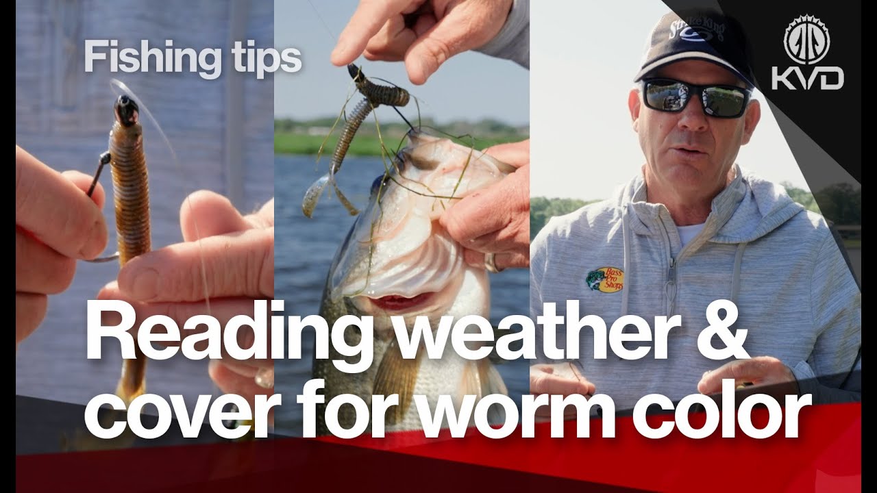 How to swim fish worms - soft plastics - with Kevin VanDam - YouTube