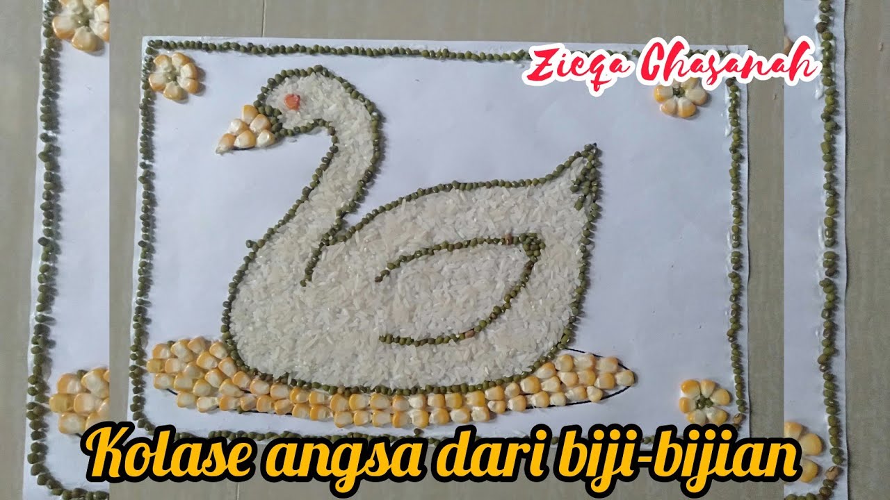 Cara membuat kolase angsa dari biji-bijian|| Tugas sekolah - YouTube