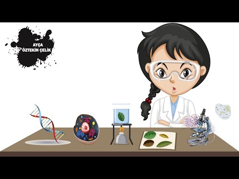10.SINIF BİYOLOJİ-- GAMET ÇEŞİDİ HESAPLAMA VE MENDEL İLKELERİNE GİRİŞ