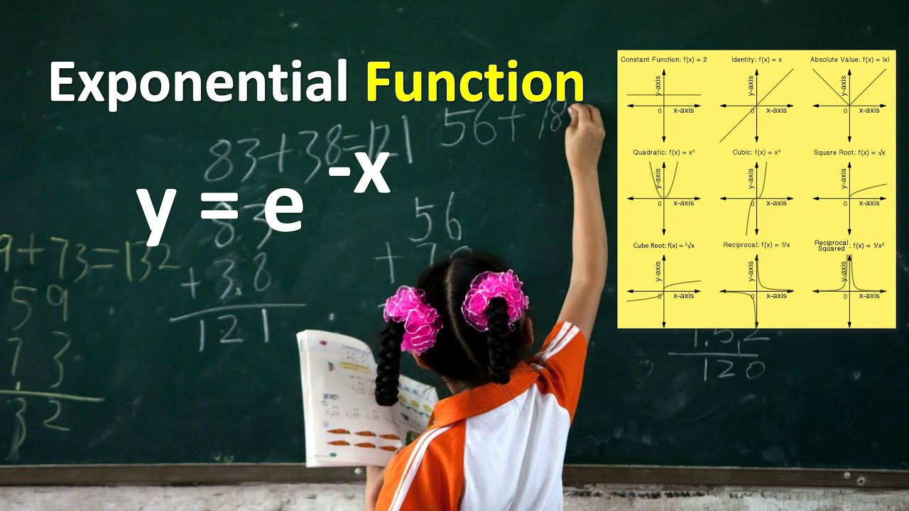 Exponential Function (e)^(-x) Explained | Domain Range of (e)^(-x ...