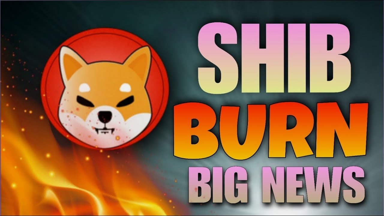 SHIBARIUM AIRDROP 2023 | Shibarium Staking Bithold | Step By Step - YouTube