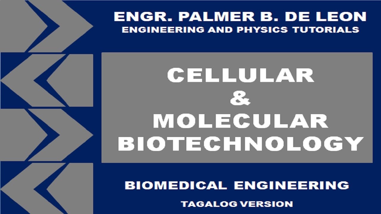 CELLULAR AND MOLECULAR BIOTECHNOLOGY - BIOMEDICAL ENGINEERING TAGALOG ...