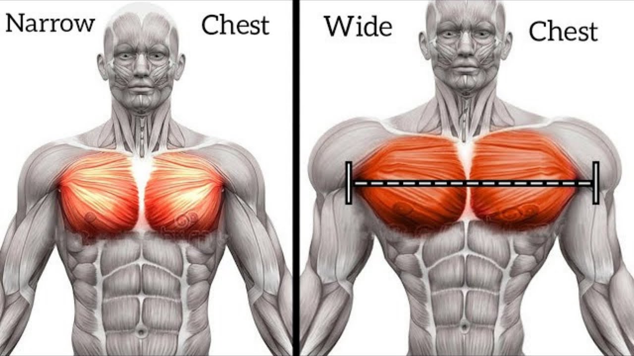 The Ultimate PUSH Workout For Size: You Need To Try - YouTube