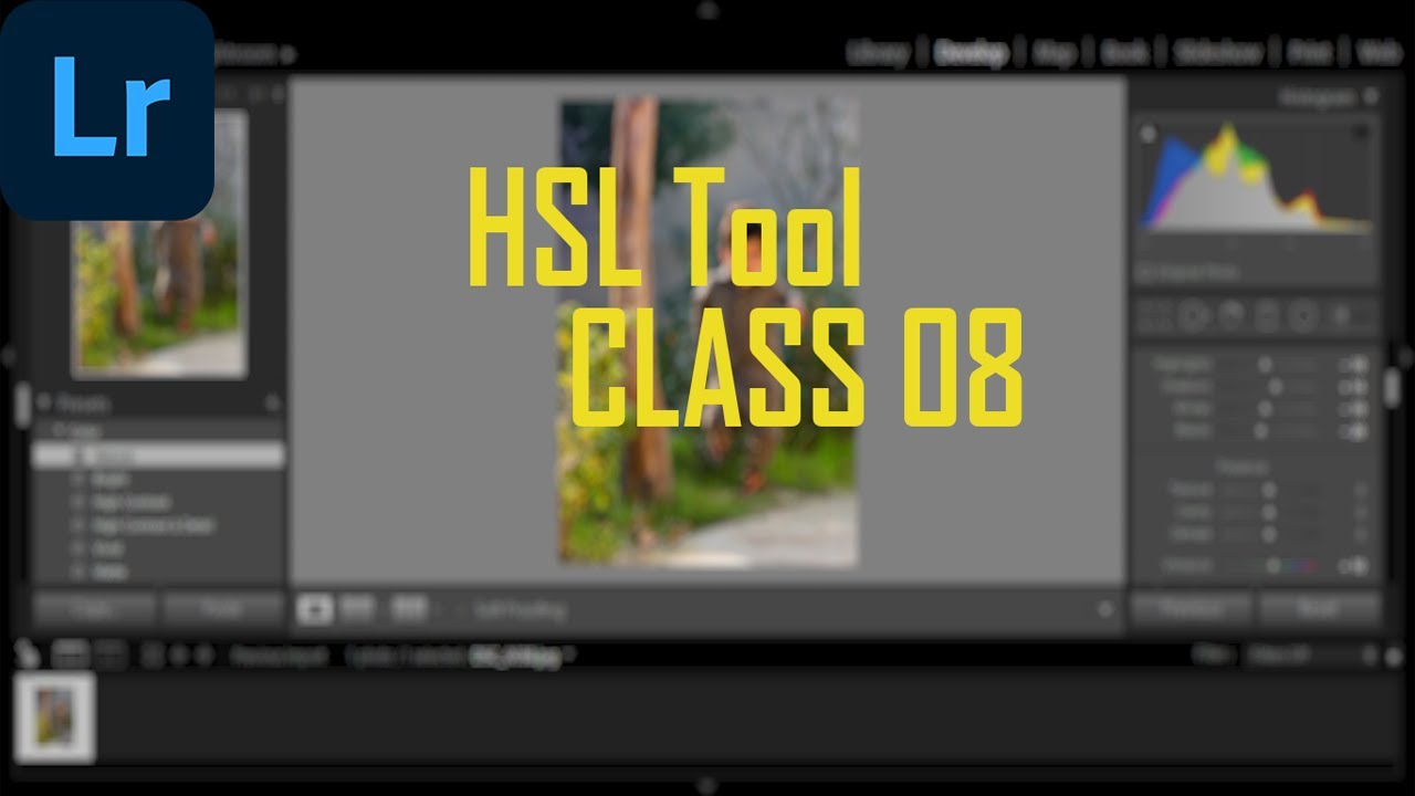 How to use the HSL panel in Adobe Lightroom Classic - YouTube