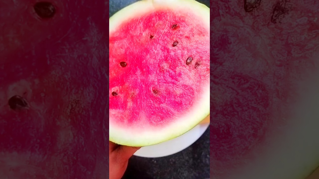 watermelon tanghulu first try is good but not perfect - YouTube