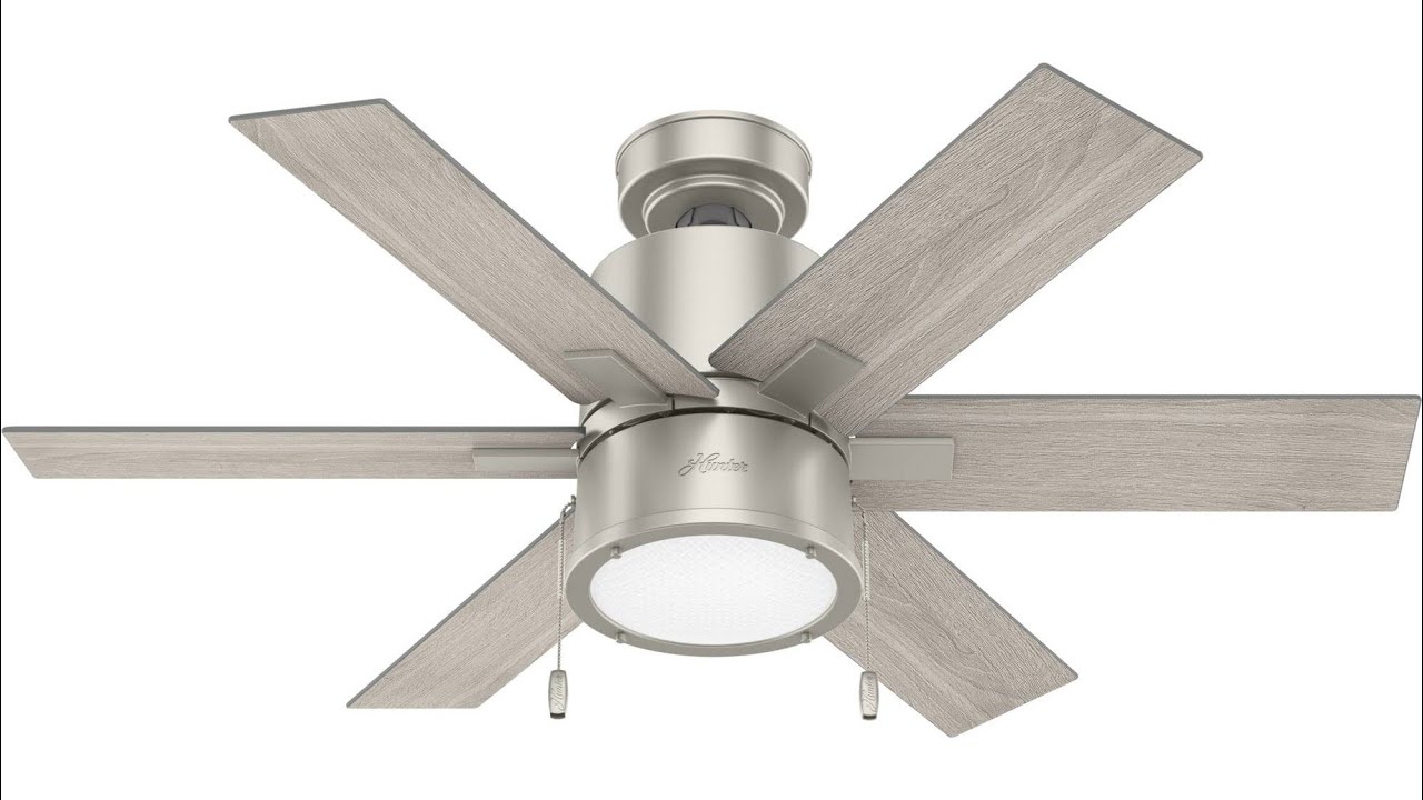 Hunter Basset 44” Ceiling Fan at Menards #ceilingfan - YouTube