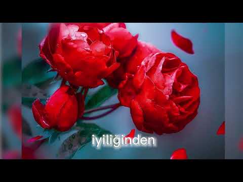 Miraç Kandilimiz Mübarek Olsun🤲 🌹Miraç Kandili Mesajı 🌹 #hayırlıkandiller #miraçkandili