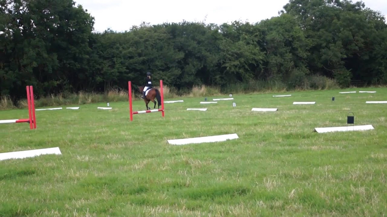 Area 12 Prix Caprilli 2014 ~ Individually 1st ~ Team 3rd - YouTube