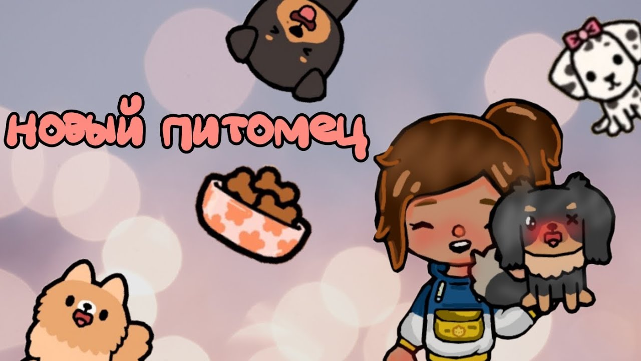 у меня появился новый питомец 🐶?! // как назовём?// тока бока 🤫 - YouTube