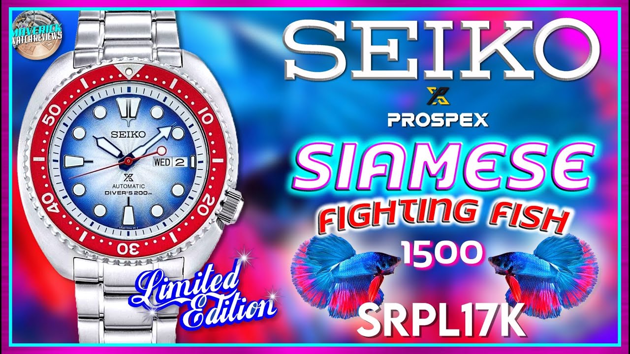 Best Looking Turtle Ever! | Seiko Prospex Siamese Fighting Fish ...