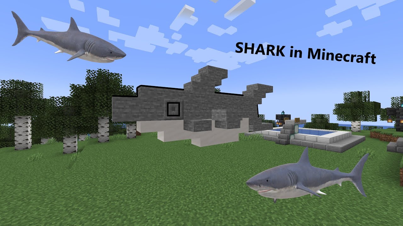 Minecraft SHARK - YouTube