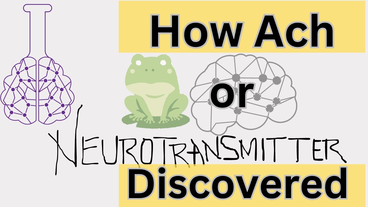 Otto Loewi's Groundbreaking Experiment- Chemical Communication Unveiled ...