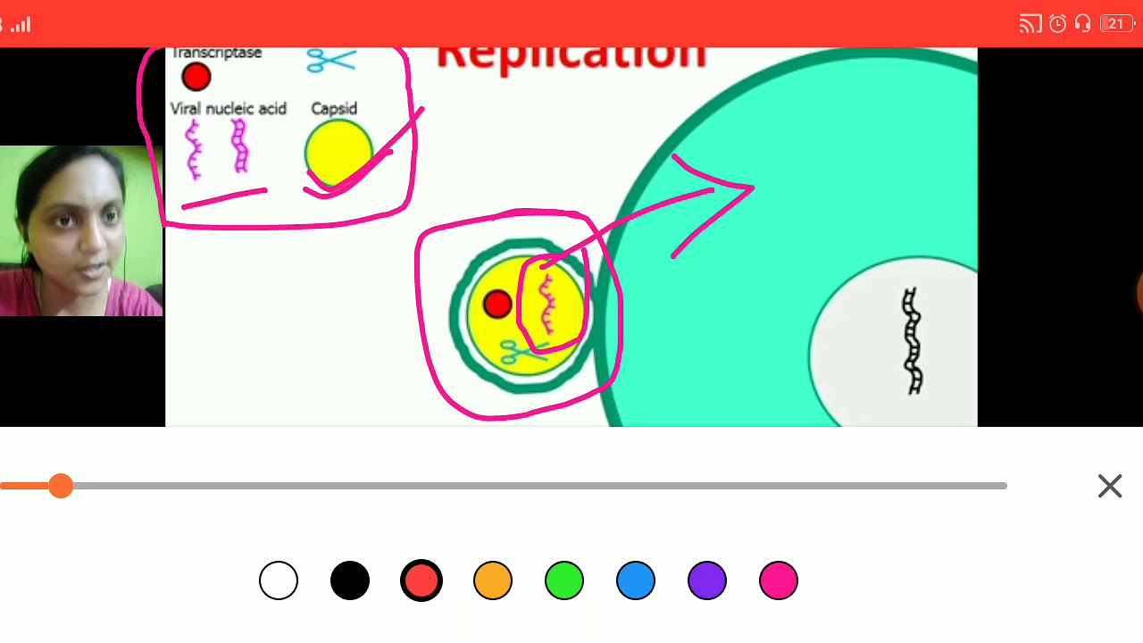 Reverse Transcription Class 12 YouTube Reverse Transcription Class 12 YouTube