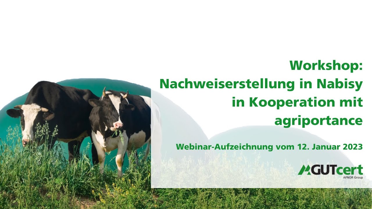 Workshop: Nachweiserstellung in Nabisy - YouTube