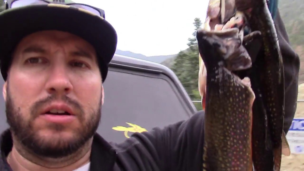 Fishing Cabresto Lake Diesel Fish Mish - YouTube