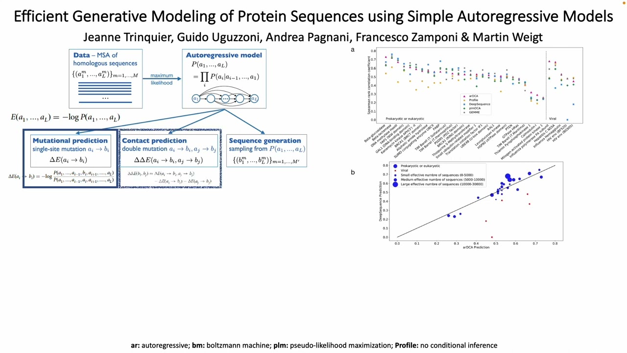 Efficient generative modeling of protein sequences using simple ...