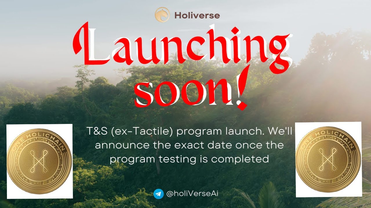 Holiverse Official update - Holichain official Update - HC Official ...