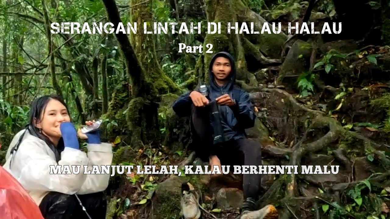 UJUNG PERJALANAN PANJANG _ GUNUNG HALAU-HALAU JALUR DESA KIYU _ ATAP ...