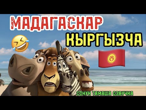 😱МАДАГАСКАР КЫРГЫЗЧА (ХАХА ПРИКОЛ ВИДЕО) 😂