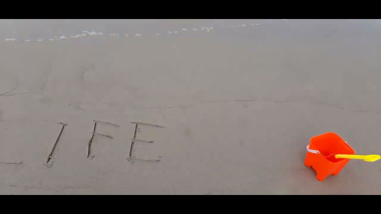 sigma life - YouTube