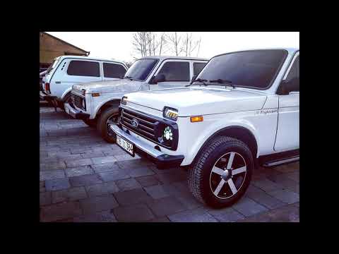 ARMENIAN (DoRjAr) NIVA