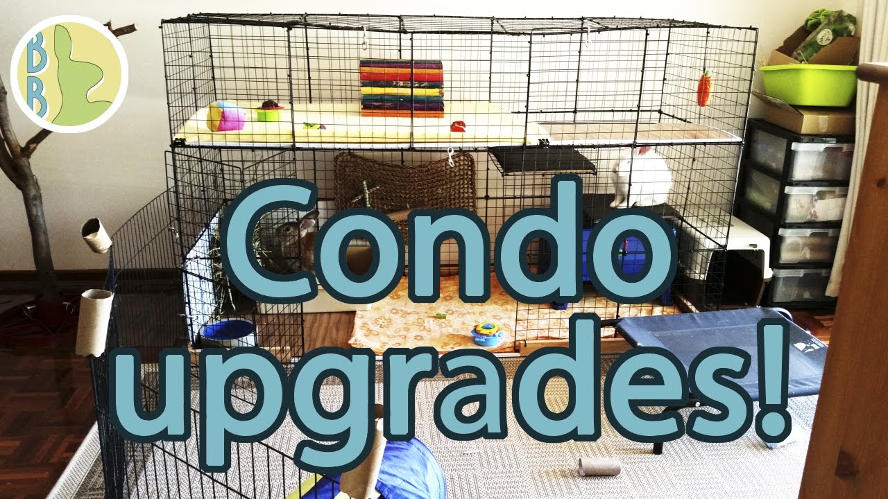 Upgrading the Rabbit Condo | DIY NIC Cage upgrade - YouTube
