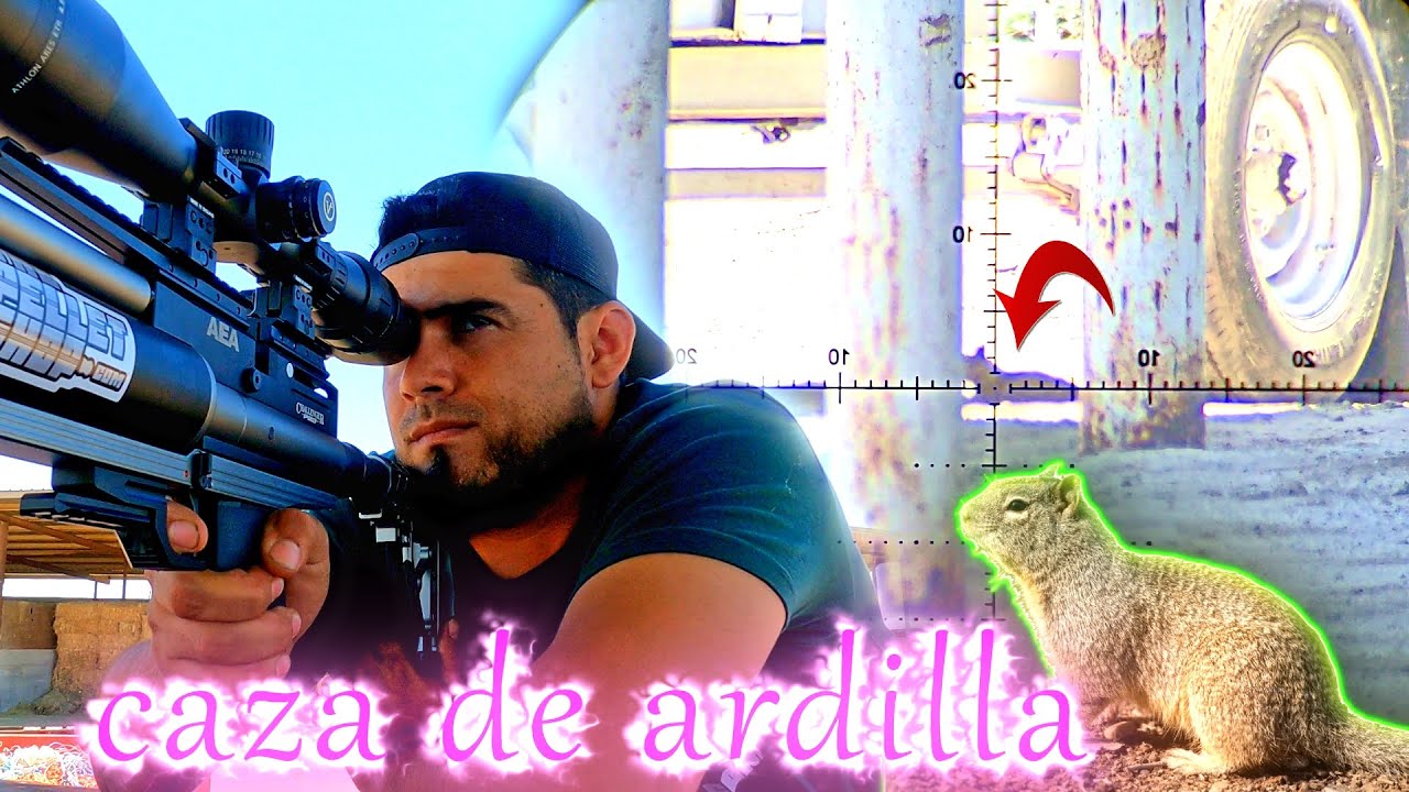 caza de ardilla #pestcontrol AEA challenger PRO .30[ monchis - YouTube