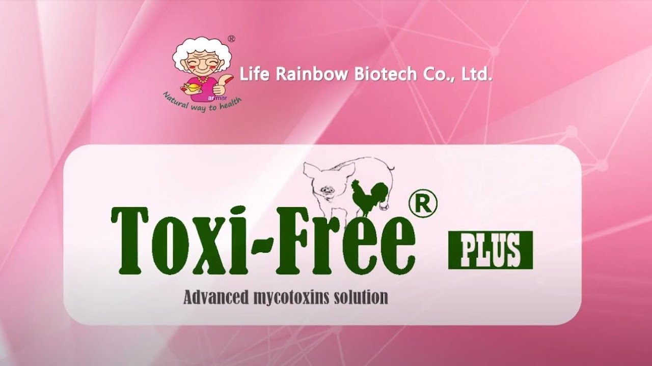 Toxi-free® PLUS - Enzymatic Solution for Mycotoxins - YouTube