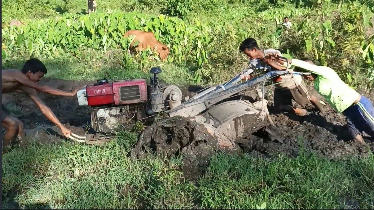 Rhino power tiller🔥 💪/puddling in deep fiald in assam/ boro season ...