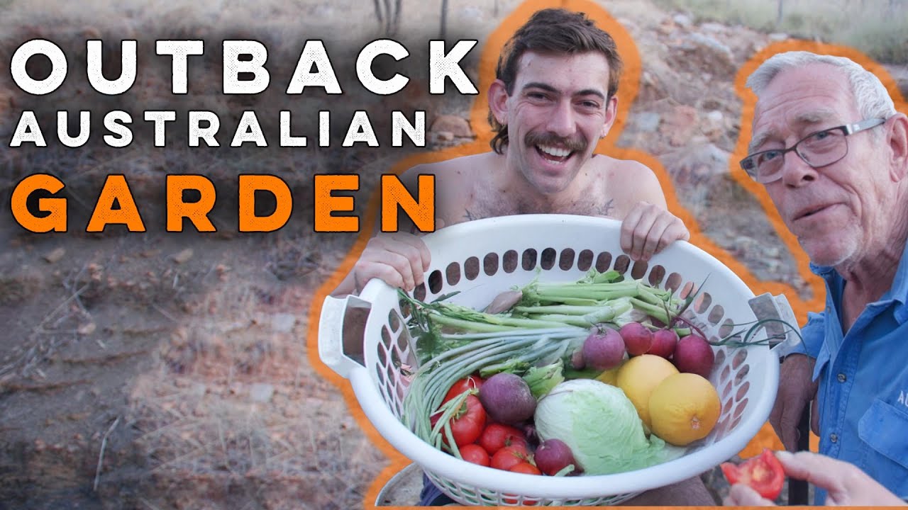 The Outback Australian Garden | How To Garden Out Bush! - YouTube