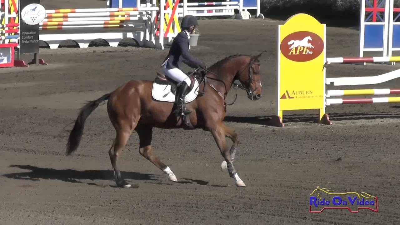 035S Kim Liddell on Eye of the Storm CCI2* Show Jumping Galway Downs ...