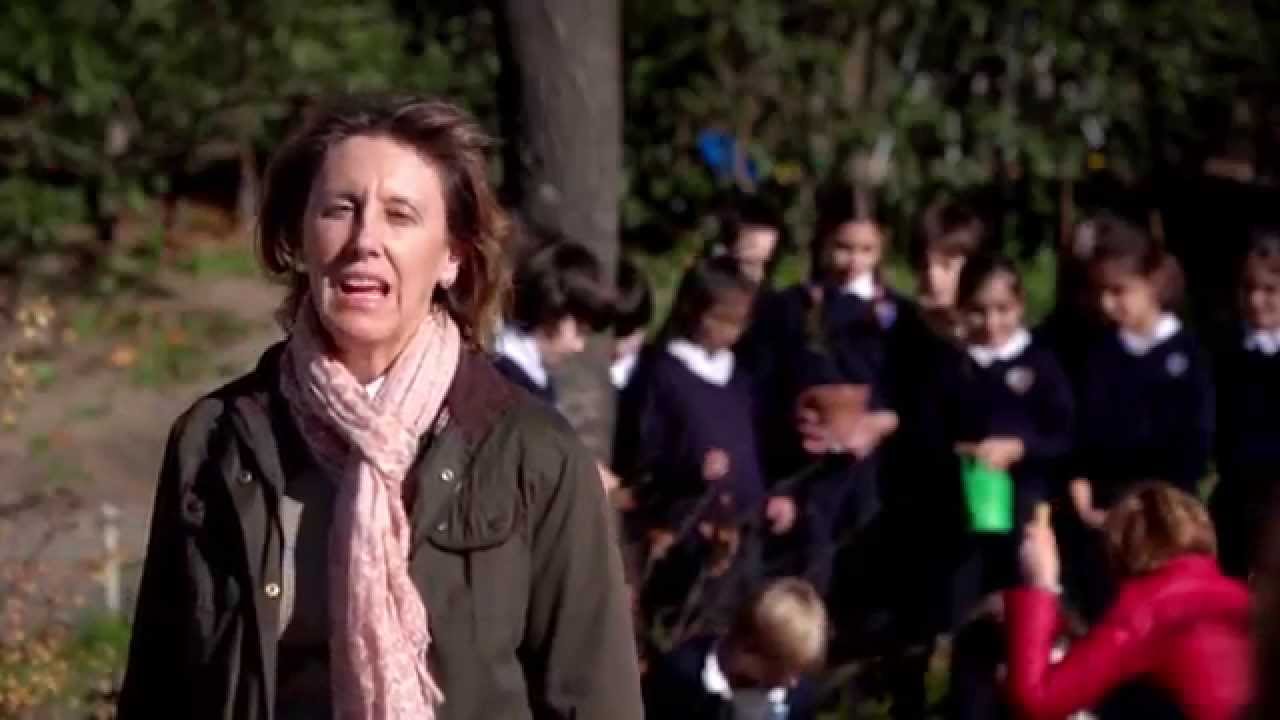 Real Colegio Santa Isabel-La Asunción - YouTube