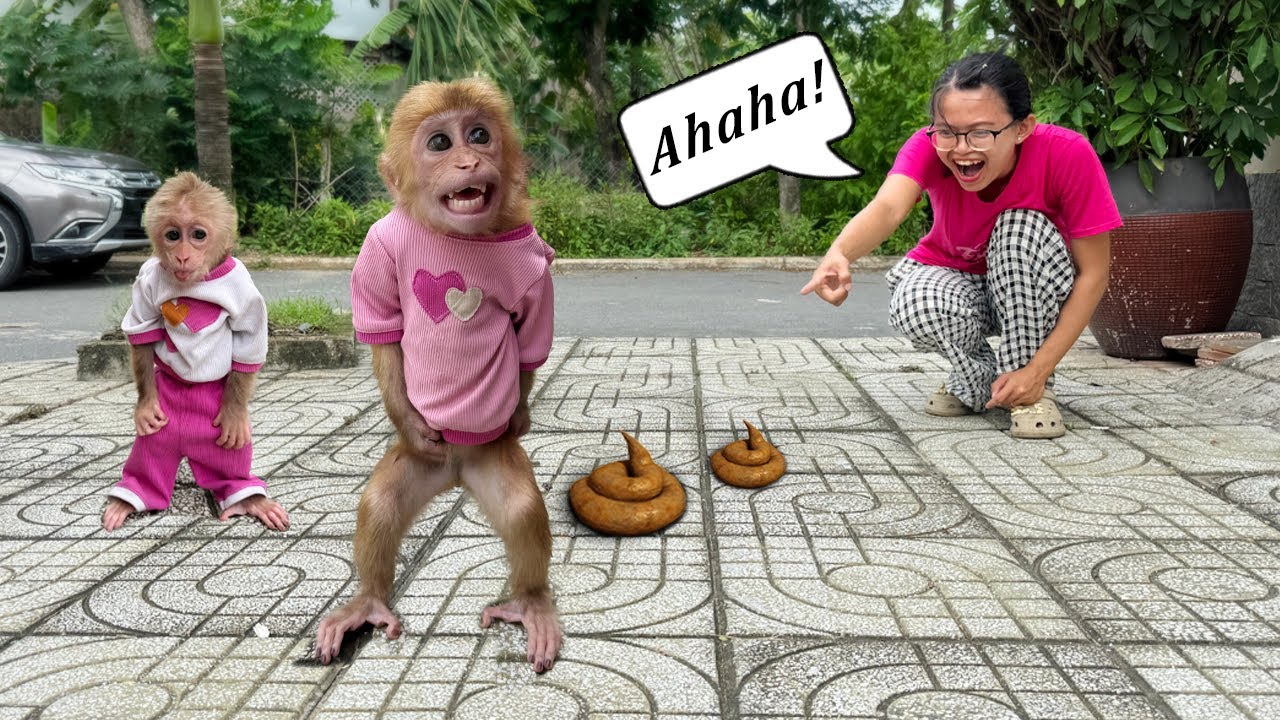 Embarrassed Lucky poops in street, whole neighborhood laughs - YouTube