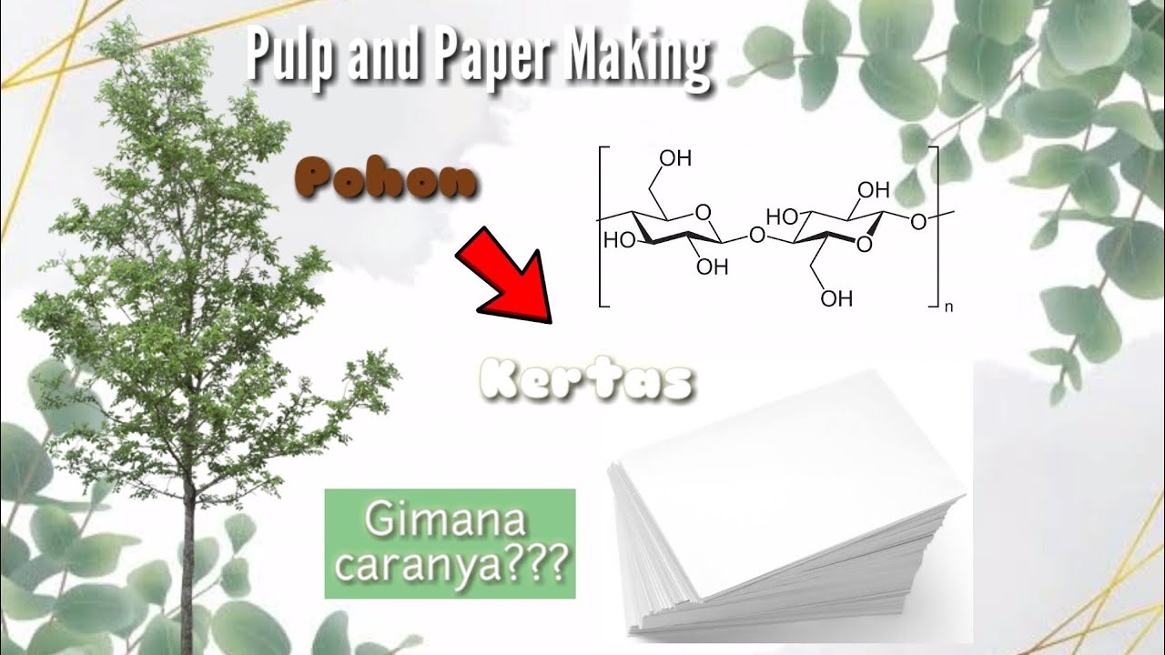 Dari pohon jadi kertas? Gimana bisa?? (Pulp and Paper Making Process ...