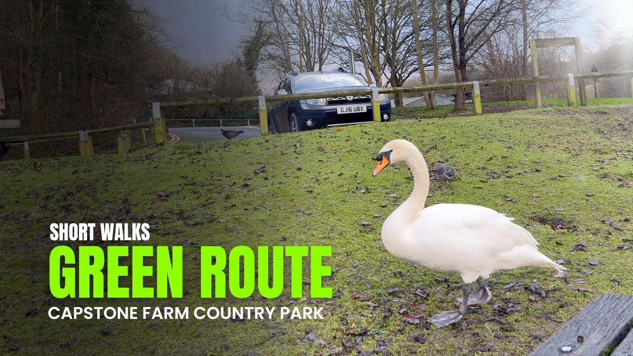 Capstone Farm Country Park - Short Afternoon Hike - YouTube