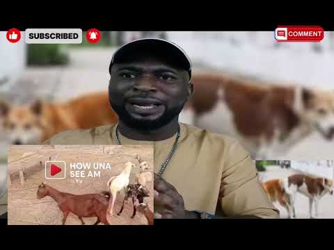 OMG: Watch How Dog 🐕 Mate  a Goat 🐐#viral #mating #goat #goats #dogs #dog 