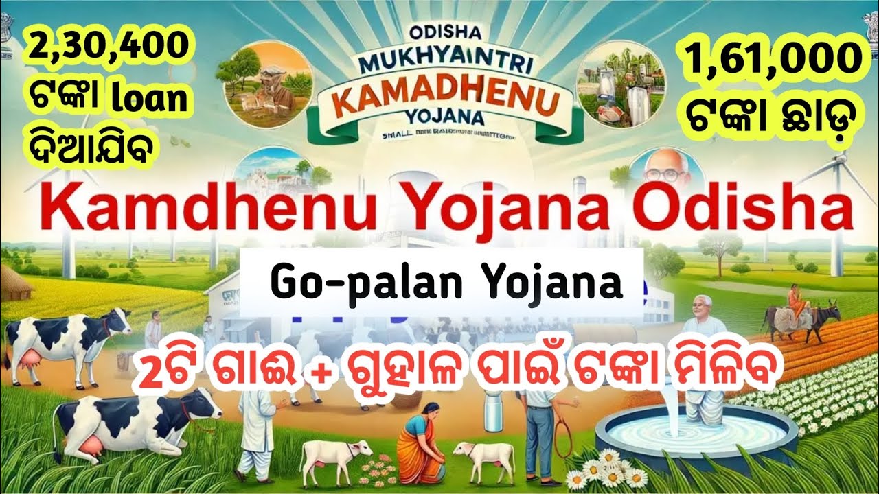 Details explanation of Go - Palan yojana under Mukhyamantri Kamdhenu ...