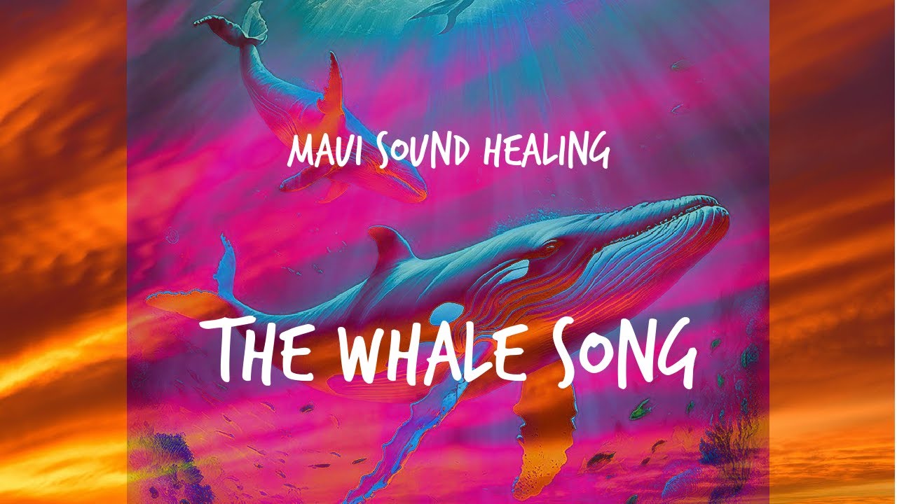 Maui Sound Healing- The Whale Song - YouTube