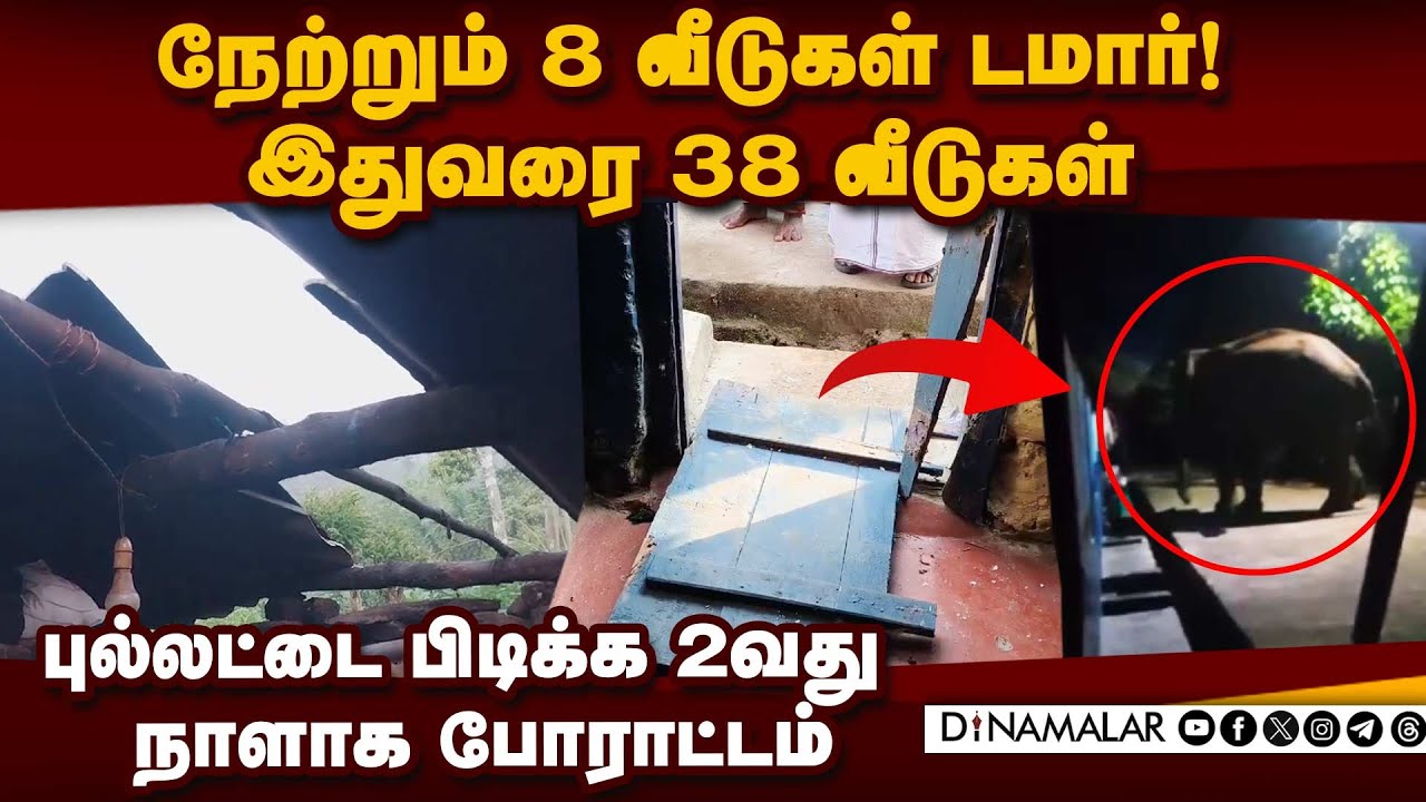 பந்தலுாரில் ஆட்டம் காட்டும் யானை! பணிகள் புறக்கணிப்பு | Pandalur ...