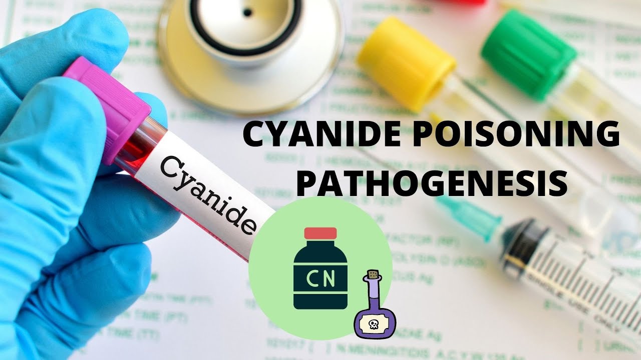 Pathogenesis of cyanide poisoning | Example of Histotoxic Hypoxia - YouTube