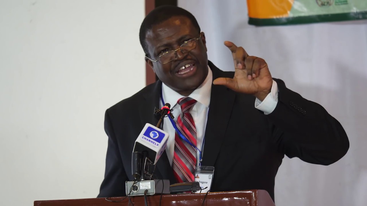 Martin Fregene: African Development Bank 's thinking on Cassava and ...