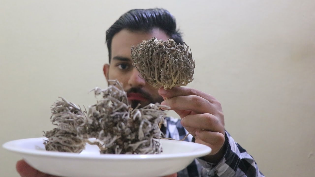 Maryam Booti | Use | Review - YouTube