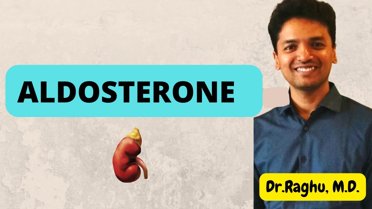 Aldosterone - Regulation, actions & mechanism of action - YouTube