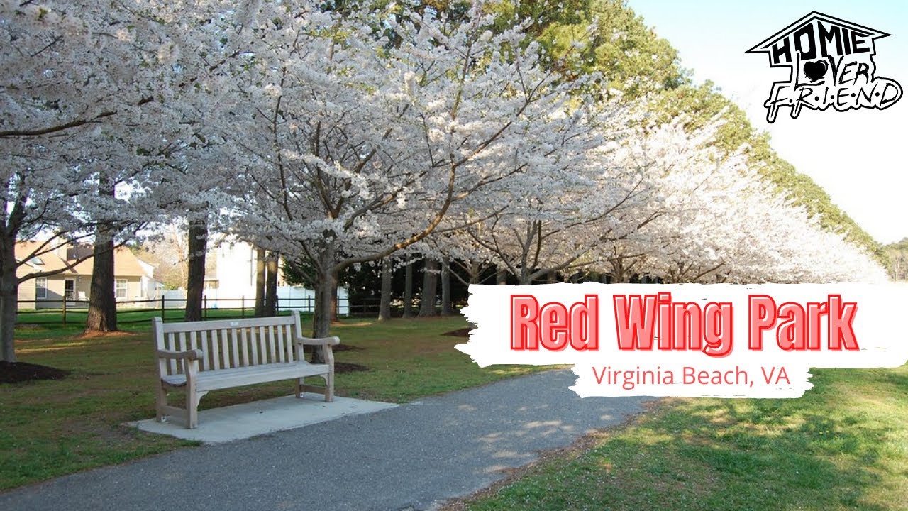 A Day at the Park| Red Wing Park, VA Beach Virginia - YouTube