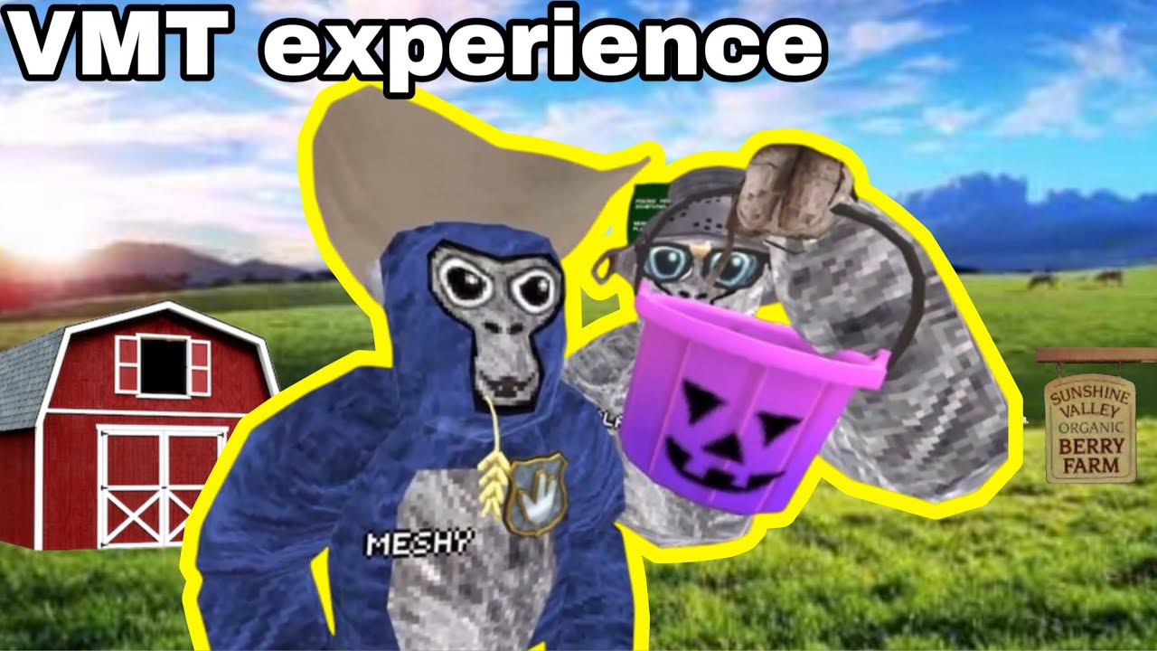 The VMT experience - YouTube