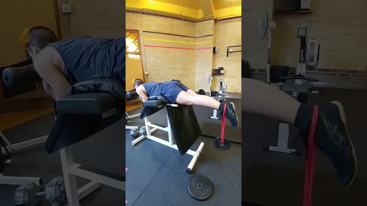 Vertical Scissors in reverse hyper hold with hanging weight from SB ...